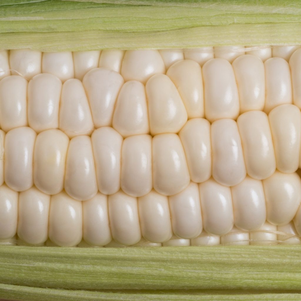 Choclo Peruano Minuto Verde 400 g - Mar Austral