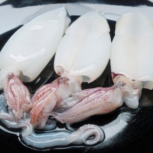 Chipirón Limpio Wofco - Mar Austral